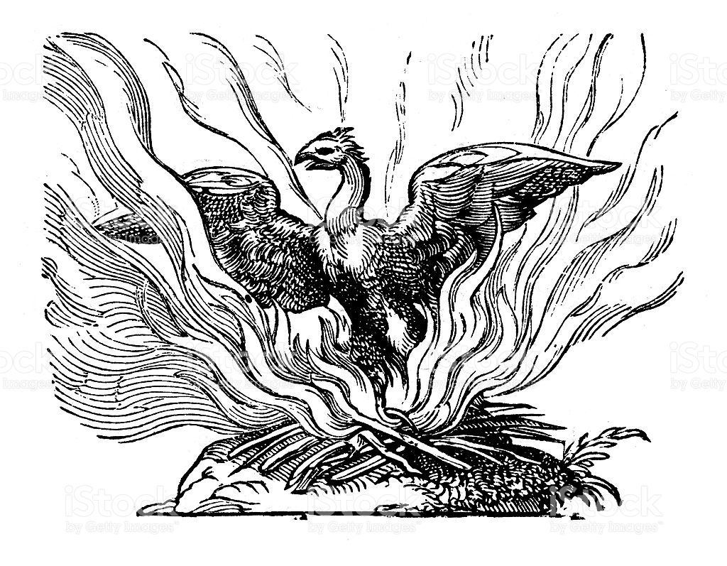 From the Ashes | Charlie Cottrell